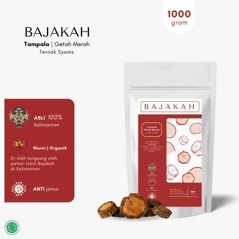 Jual Akar Bajakah Tampala 1 Kg Syams kering getah merah Asli Kalimantan ...