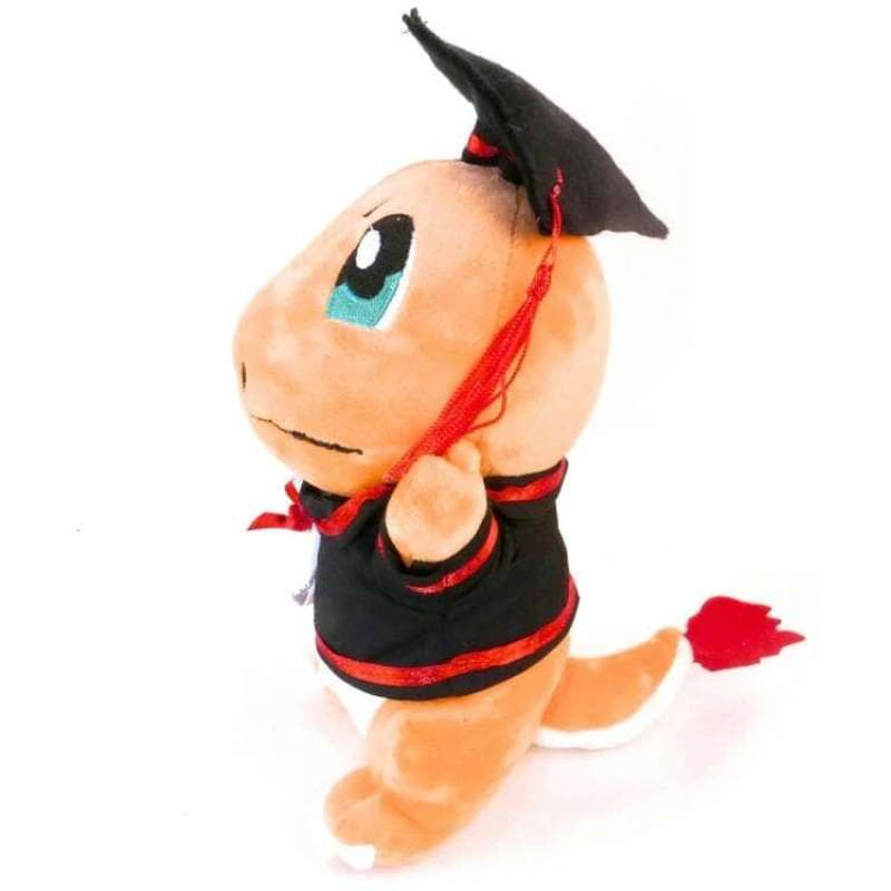 Jual Boneka toga charmander pokemon graduation di Seller Pika - Kota ...