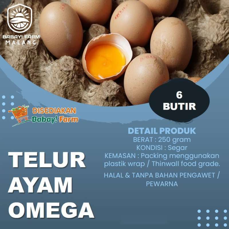 Jual Telur Ayam Negeri Omega 3 / Telor Negri Super Omega 3 Halal Di ...