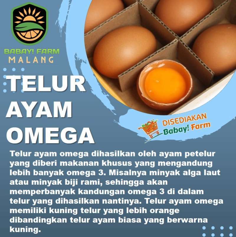 Jual Telur Ayam Negeri Omega 3 / Telor Negri Super Omega 3 Halal Di ...