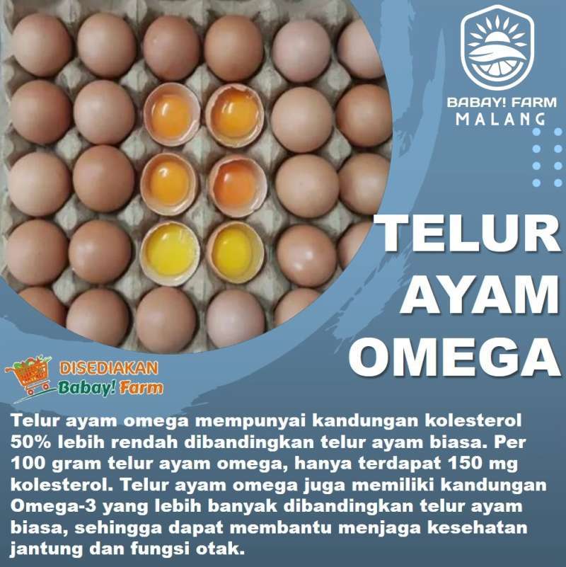Jual Telur Ayam Negeri Omega 3 / Telor Negri Super Omega 3 Halal Di ...
