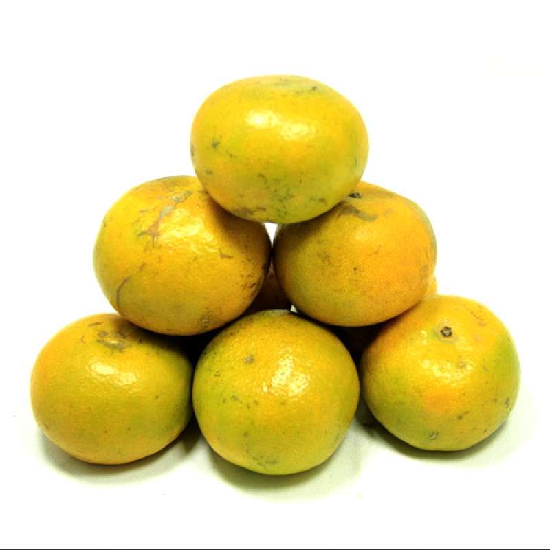 Jual Jeruk Medan 1 Kg Grade B / Jeruk Manis Segar / Orange-KEDAIMART di ...