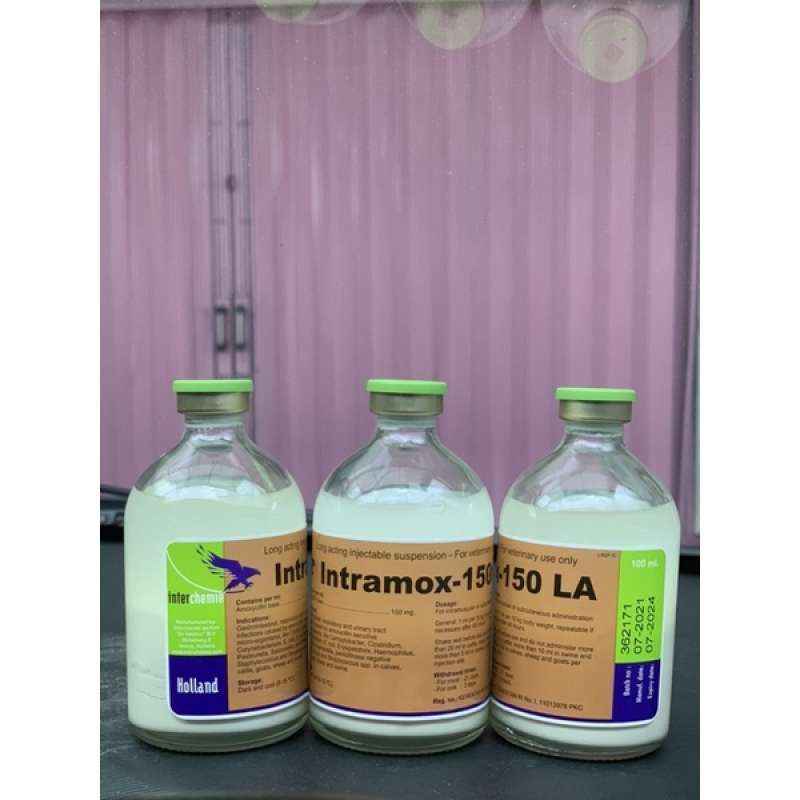 Jual Intramox 150 Termurah - Harga Grosir Terupdate Hari Ini | Blibli
