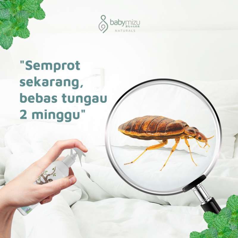 Jual BABYMIZU Baby Bed Spray - Spray Kasur Bayi Anti Tungau, Kutu Kasur ...