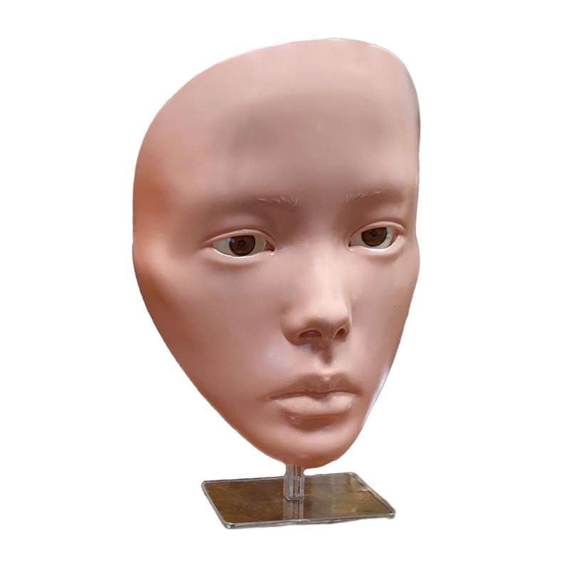 Promo 3D Makeup Full Face Practice Board Model with Stand Realistic ...