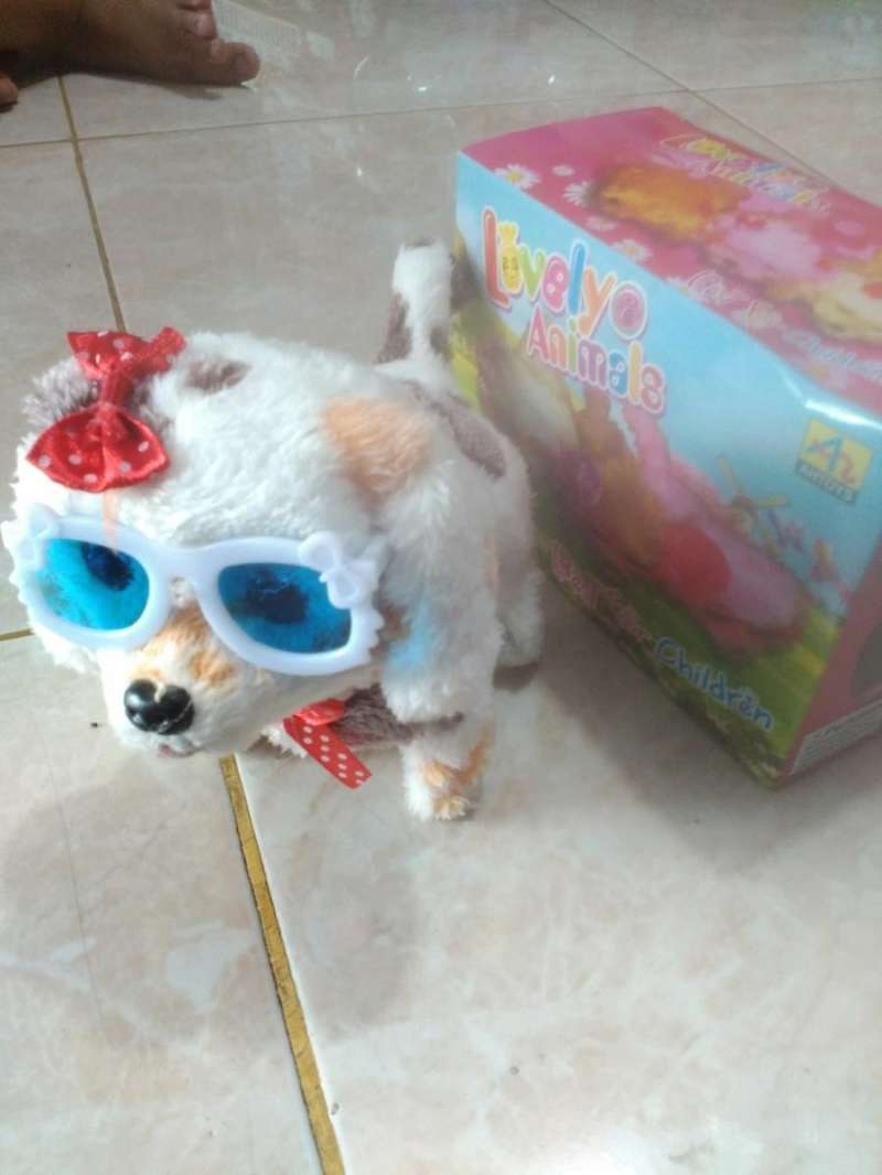 Jual Mainan Anjing Jalan Di Seller Mabiztoys - Cipinang Besar Selatan ...