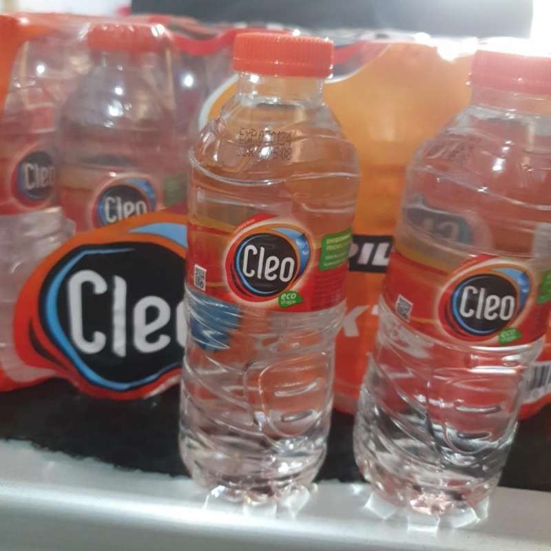 Jual Air Botol Mineral Mini Cleo 220 Ml Per Pack Isi 24 Di Seller Go ...