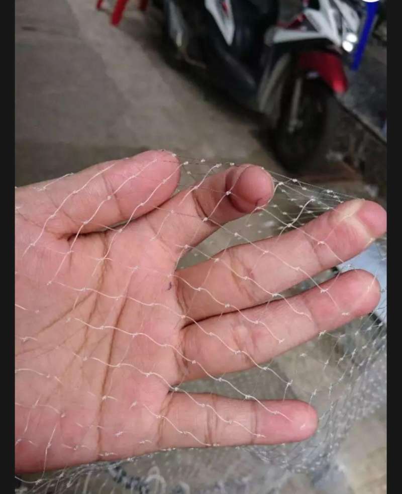 Jual Jala Ikan Dan Udang Senar Tinggi 15 Feet Atau 4,5 Meter Siap ...