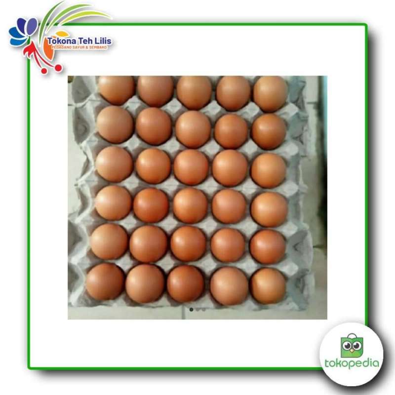 Jual Telur Ayam Ras 1 Rak Isi 30 Butir Halal Di Seller Tokona Teh Lilis ...