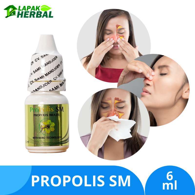Promo Propolis Sm Brazil - Obat Polip Hidung Sinusitis Kronis Pilek ...