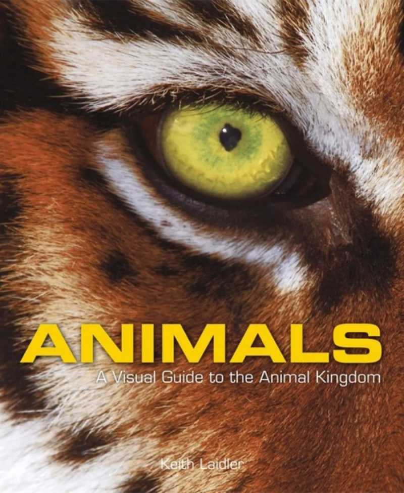 Promo Buku Animals: A Visual Guide to the Animal Kingdom Diskon 23% di ...