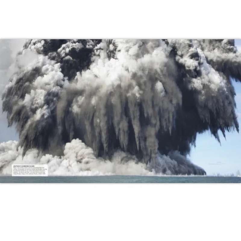 Jual Dk: Ocean: The Definitive Visual Guide Di Seller Bane Store ...