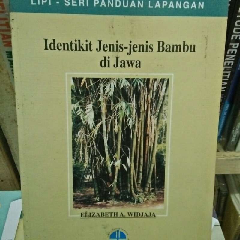 Promo Identikit jenis-jenis bambu di jawa ori Diskon 23% di Seller ...