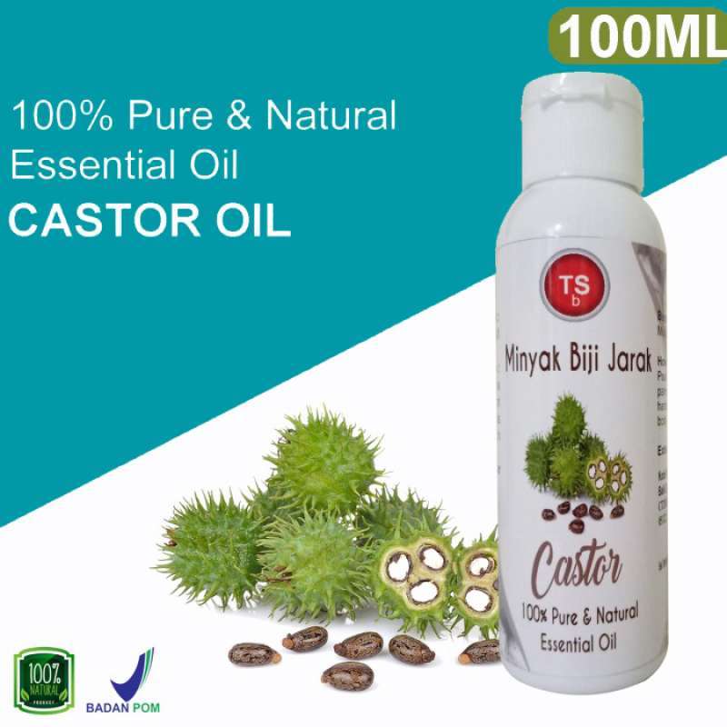 Jual Castor Oil Minyak Biji Jarak Essential Oil 100% Murni 100 ML di ... Jual Castor Oil Minyak Biji Jarak Essential Oil 100% Murni 100 ML di ...