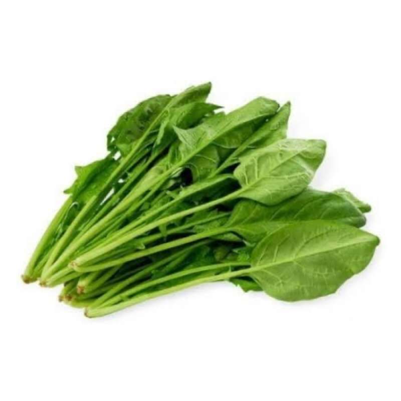 Jual SayurHd sayur segar pocai 250 gram di Seller Sayur home delivery ...