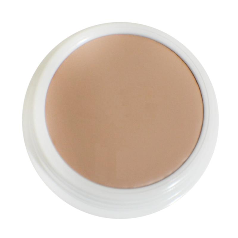 Jual Naturactor 151 Cover Face Foundation di Seller Big Choices ...