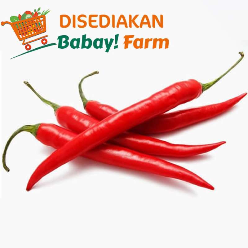 Cabe Merah