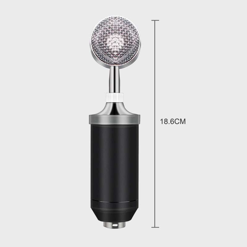 Jual Paket Microphone Bm-8000 + Scissor Arm Stand + Phantom Power 48v ...