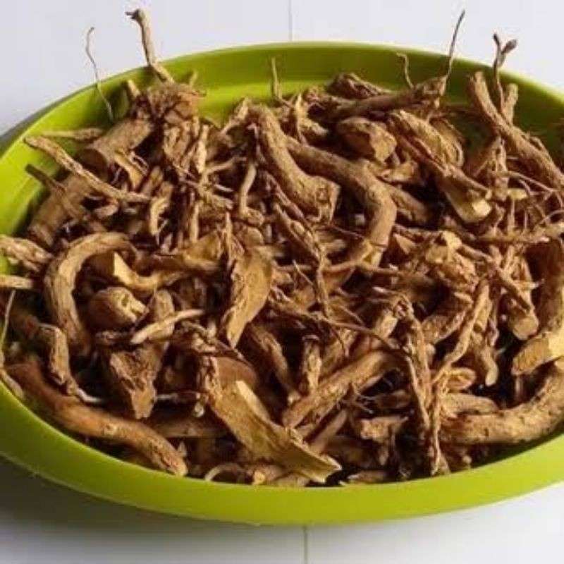 Jual akar pule pandak segar kering di Seller dboge store - Semampir ...