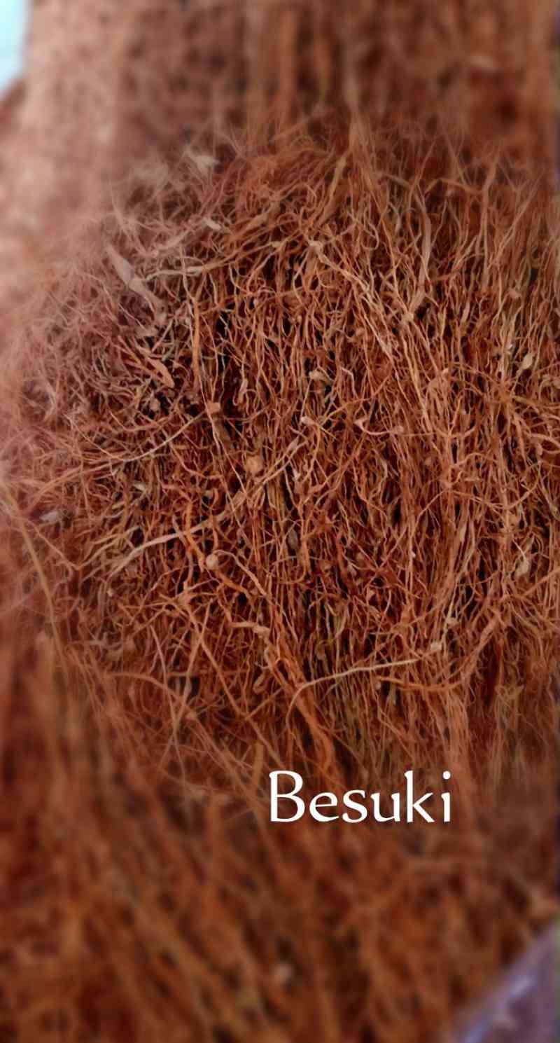 Jual Tembakau Besuki 100g Di Seller Wolumbako - Lopait, Kab. Semarang ...