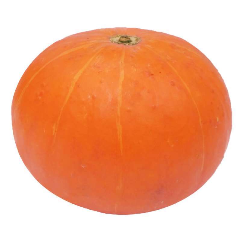 Jual Kabocha Kuning 1 Kg Halal Di Seller Hypermart Daan Mogot Official ...