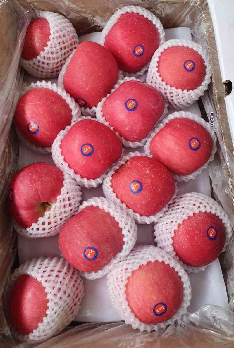 Jual Apel Fuji Alfa Premium Fresh Import Per Kg Di Seller Global Fruits ...