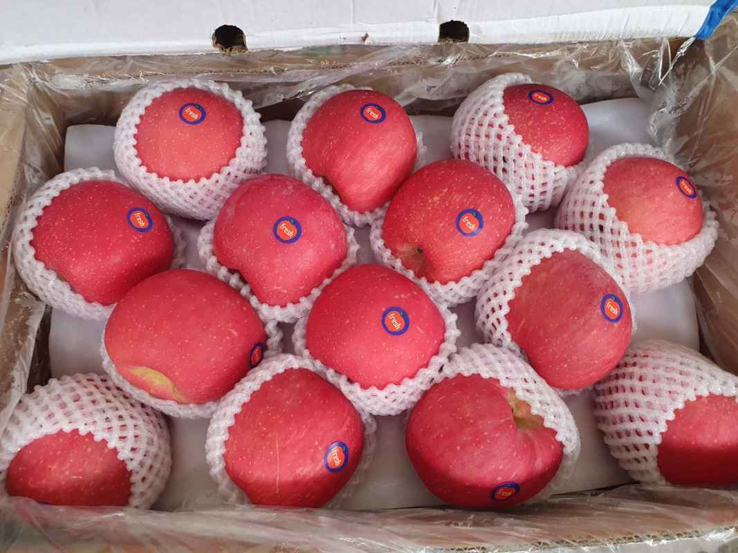 Jual Apel Fuji Alfa Premium Fresh Import Per Kg Di Seller Global Fruits ...