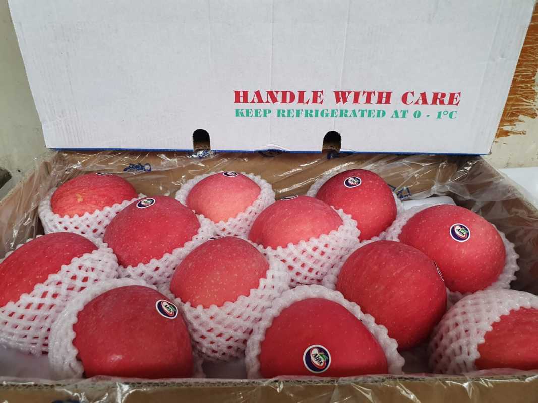 Jual Apel Fuji Alfa Premium Fresh Import Per Kg Di Seller Global Fruits ...