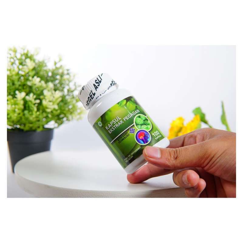 Jual Obat Alzheimer Ringan Obat Pikun dan Mudah Lupa Kapsul Ekstrak ...