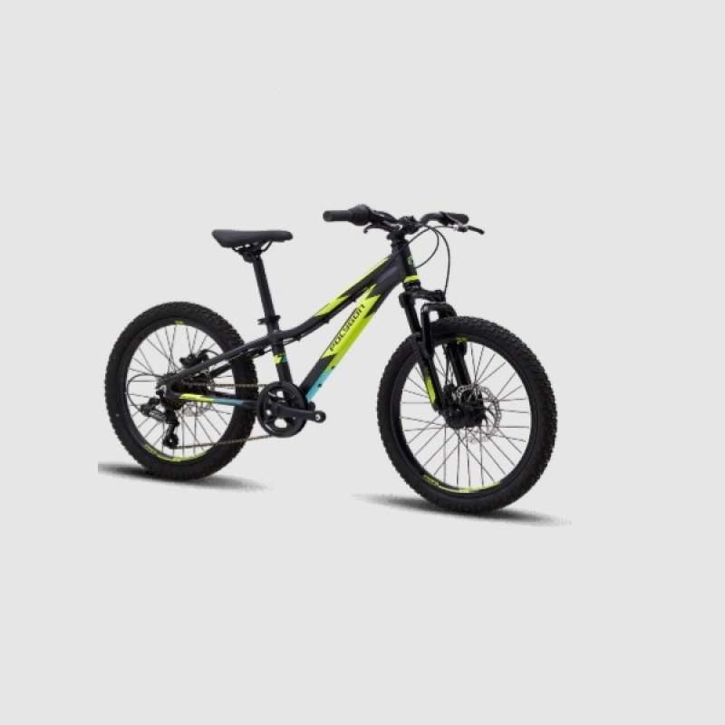 Jual Sepeda Gunung Anak Polygon Mtb Relic [20 Inch] Di Seller Toko ...