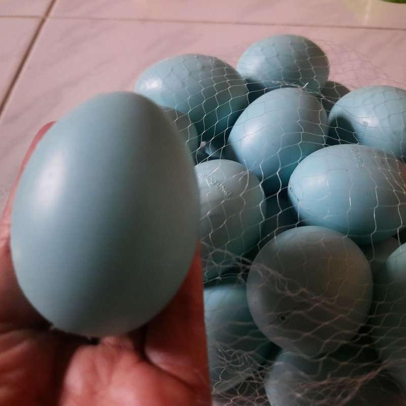 Jual Mainan Anak Telur Ayam/ Telur Bebek/ Telur Plastik/ Telur Paskah ...