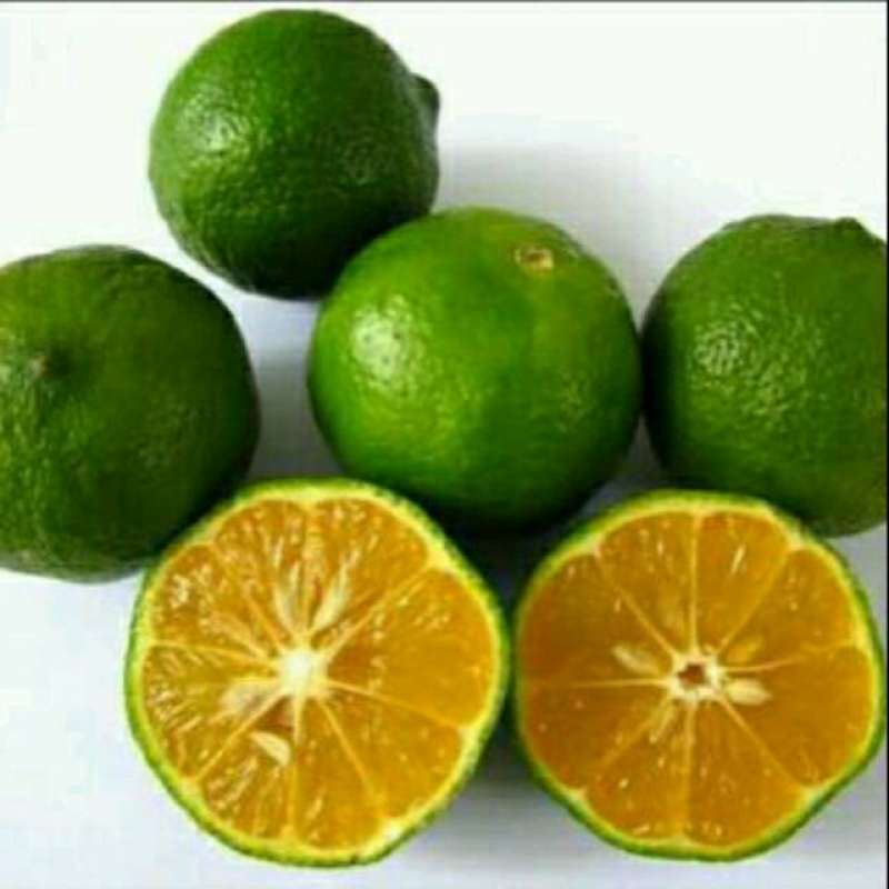 Jual JERUK LIMAU FRESH PER 1 kg di Seller Yusapharma - Grogol, Kota ...