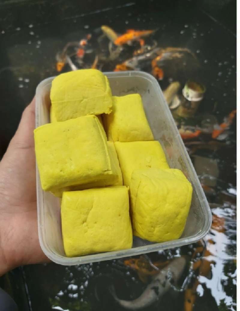 Jual Tahu Bandung / tahu kuning isi 10 pcs Halal di Seller Bintang ...