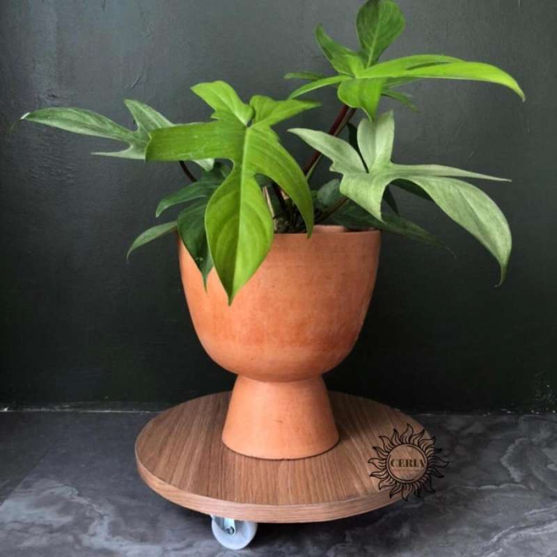 Jual Ceria Tatakan Pot Roda - Dolly Plant - Standing Pot Kayu - GOLD ...