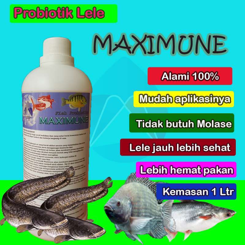 Jual Probiotik Maximune Untuk Lele dan Ikan Lainnya di Seller Mugisano ...