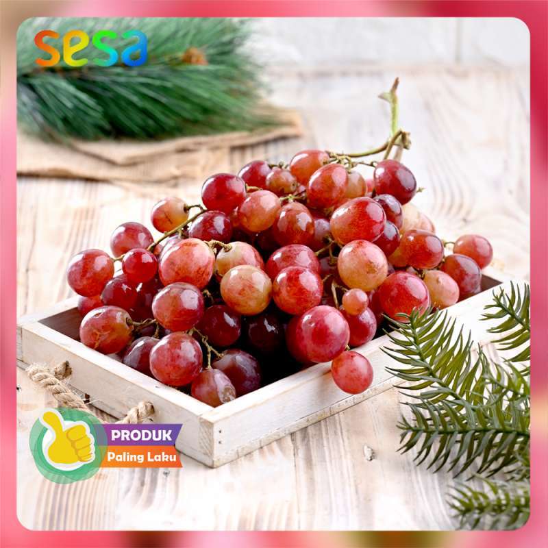 Jual Harga Buah Anggur 1 Kg Terdekat 🏷️ Harga Grosir Murah Terupdate ...