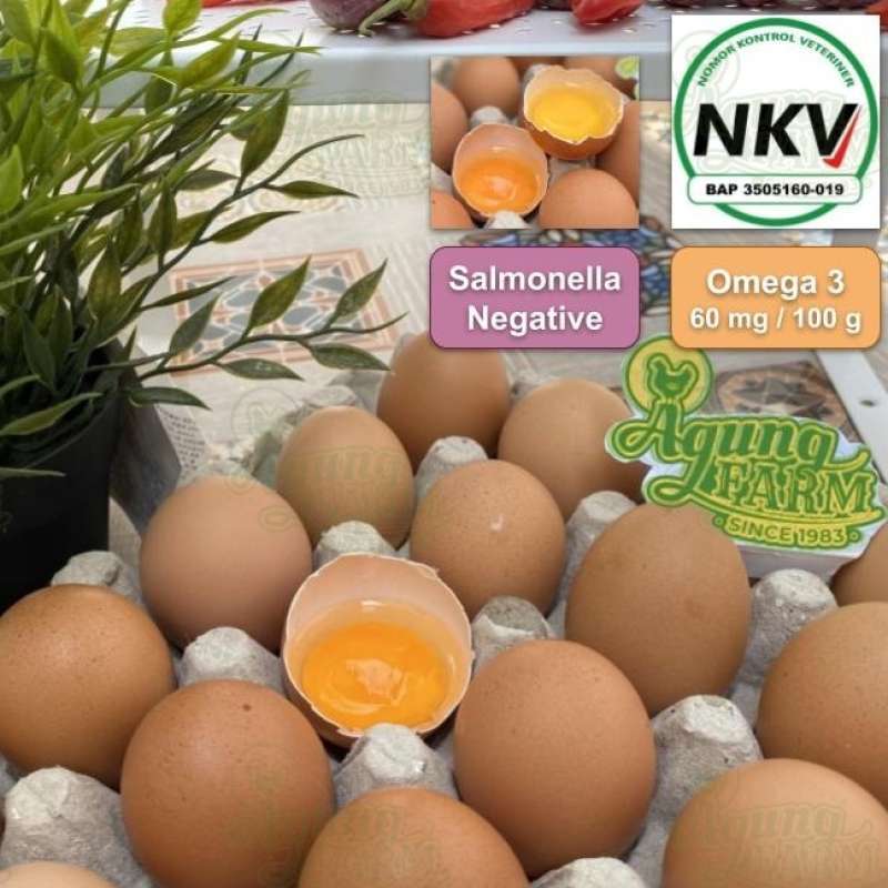 Jual Telur Agung Farm Telur Ayam Negri Negeri per kg Curah Segar dari ...
