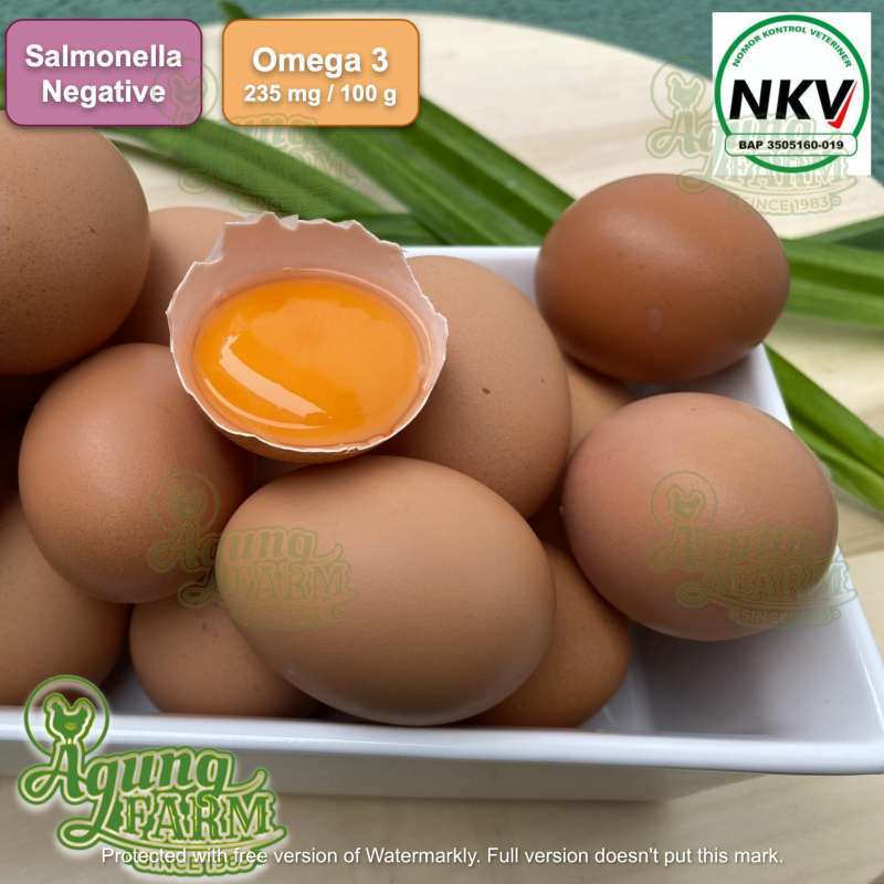 Jual Telur Agung Farm Telur Omega 3 Nabati Curah Per Kg Kiloan Dari ...