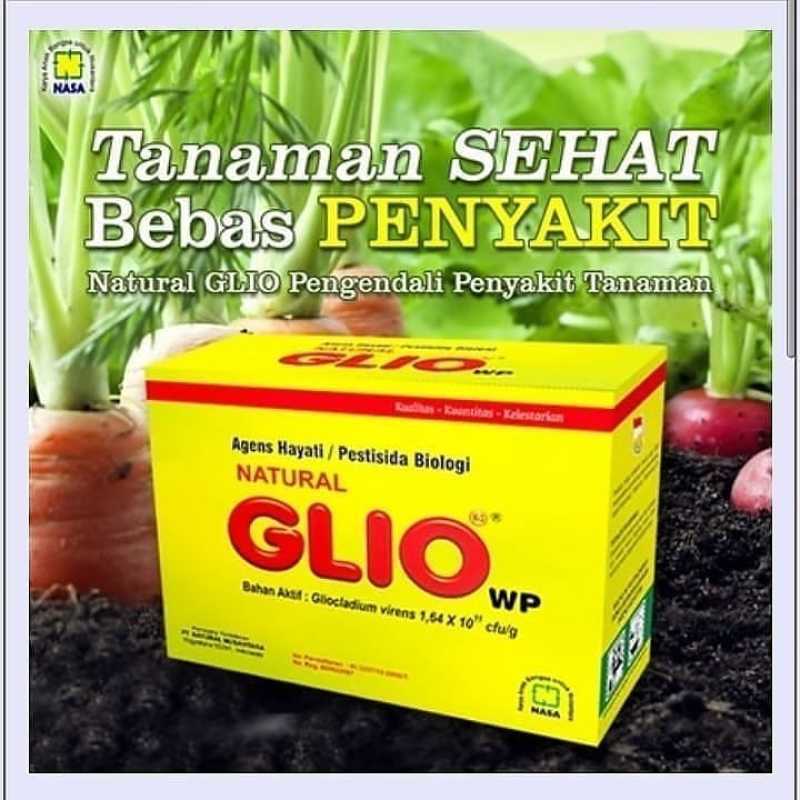 Jual Natural Gliocladium - GLIO - Pestisida Organik Pengendali Penyakit ...