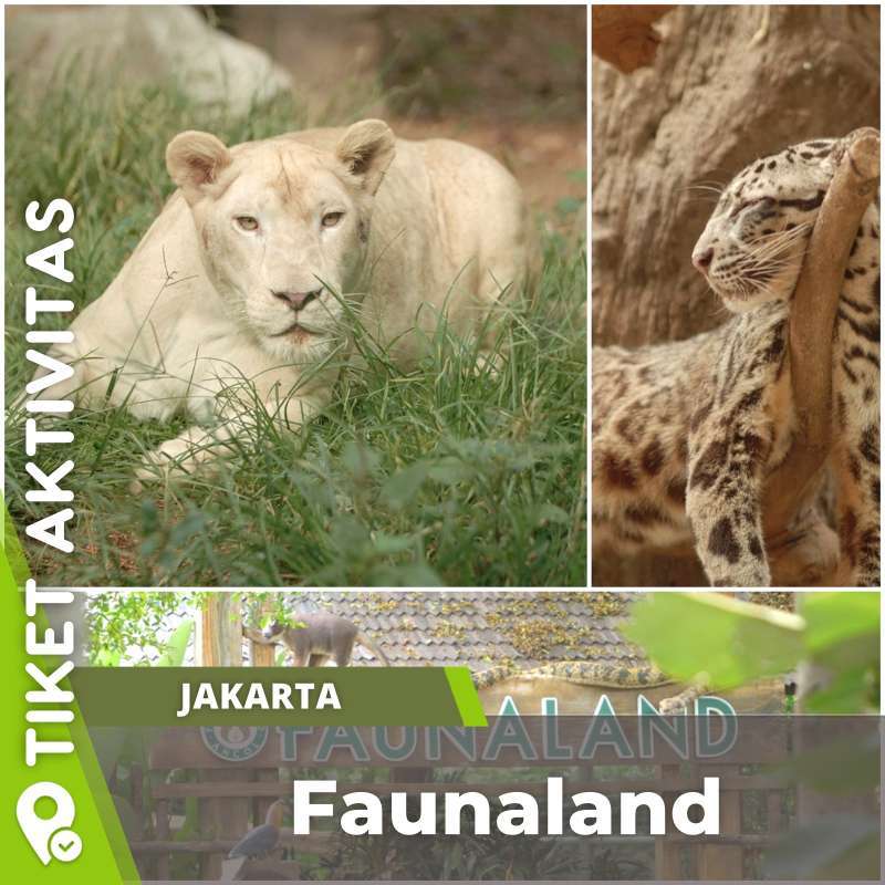 Jual Tiket Faunaland Jakarta Indonesia di Seller OTI TRAVEL - Kota ...