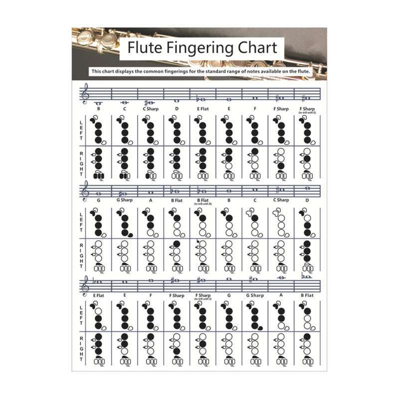 Jual Flute Chord Chart Cheatsheets Educational Accessories for Student ...