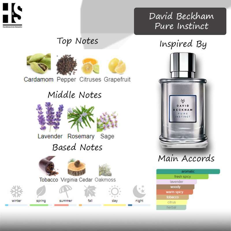 Jual H&S Parfum DAVID BECKHAM PURE INSTINCT - inspired - di Seller ...