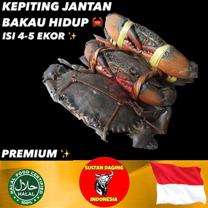 Promo Kepiting Bakau Papua Hidup 1 Kg Isi 3-4 Ekor Premium/ Kepiting ...