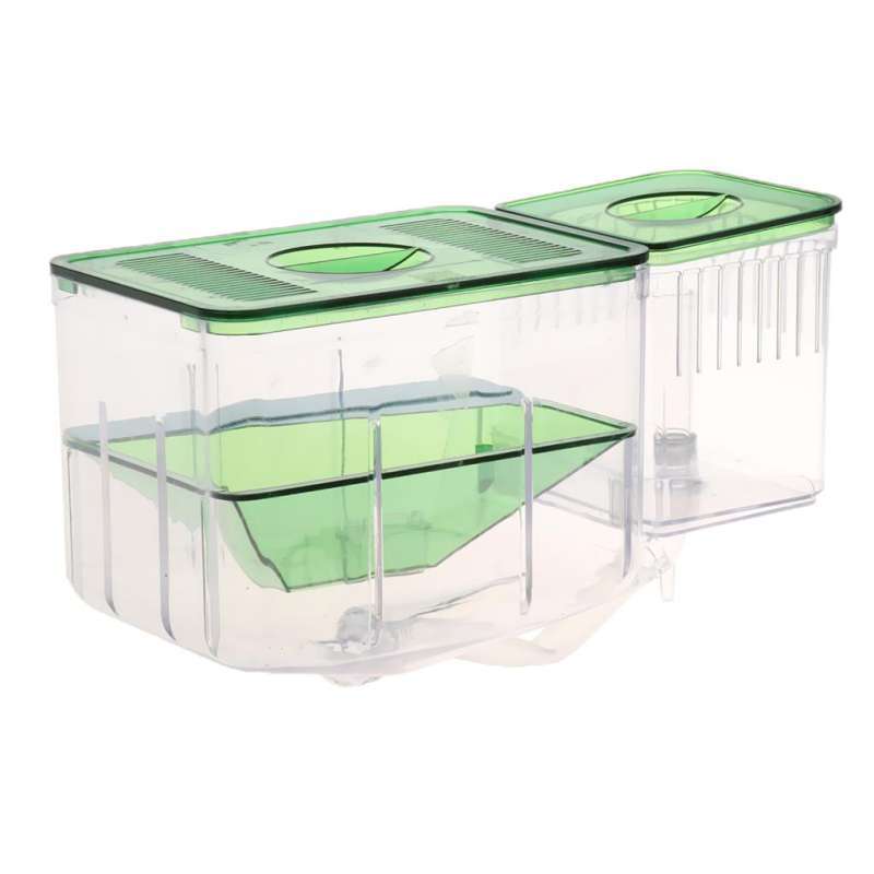 Jual Aquarium Tank Breeding Breeder Baby/Fry/Newborn Isolation Box ...