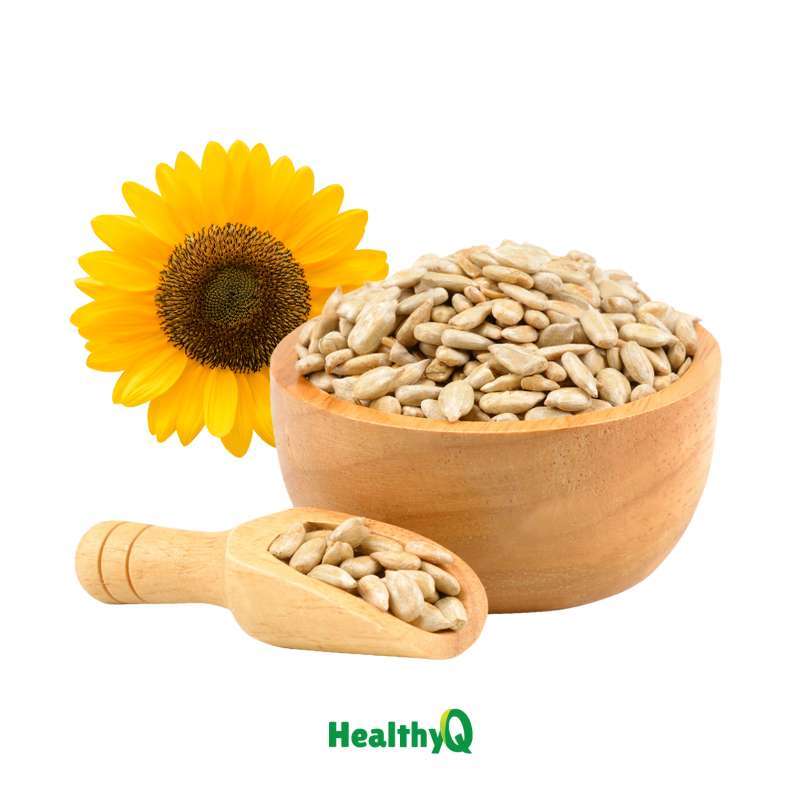 Jual Raw Sunflower Seeds - Biji Bunga Matahari Mentah 400 gr di Seller ...