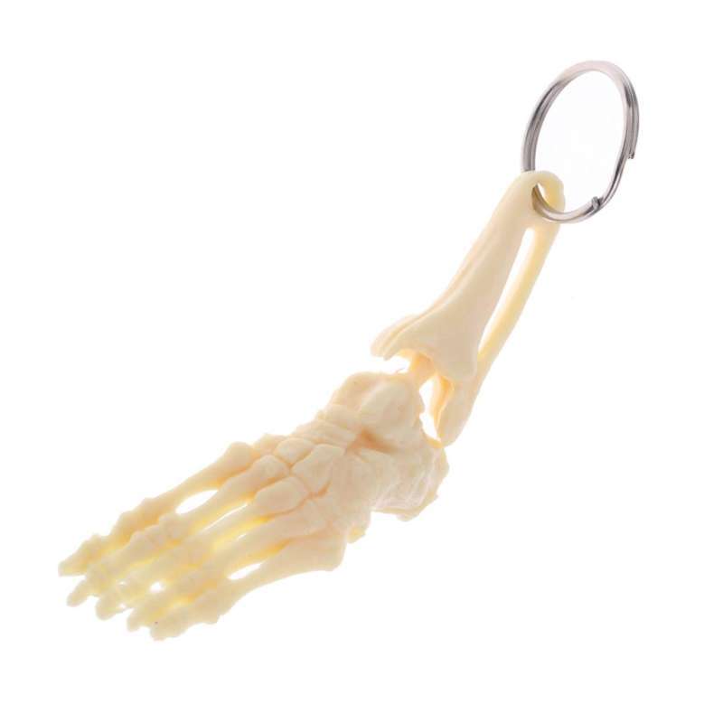 Jual Mini Human Heart Foot Ankle Model Keychain School Learning ...