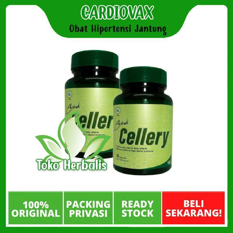 Jual Cellery Asli Obat Herbal Darah Tinggi Hipertensi Jantung Stroke ...