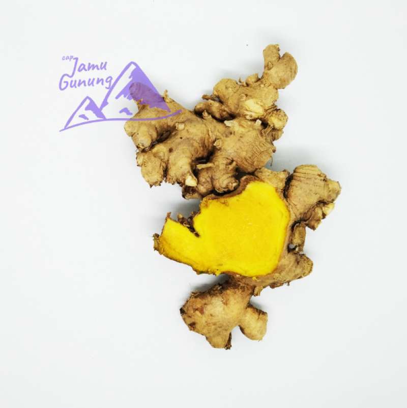 Promo Bengle Atau Bangle Segar 1kg - Organik Asli Gunung Diskon 7% Di ...