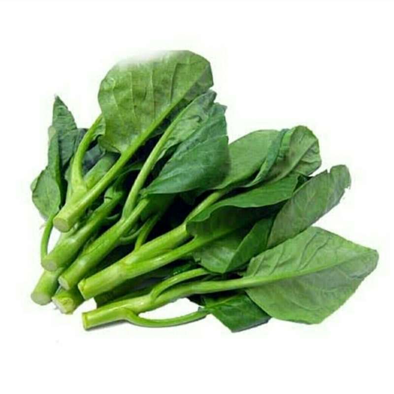 Jual Istana - Baby Kailan [1 Kg] Di Seller Blibli.com - Gudang Blibli ...