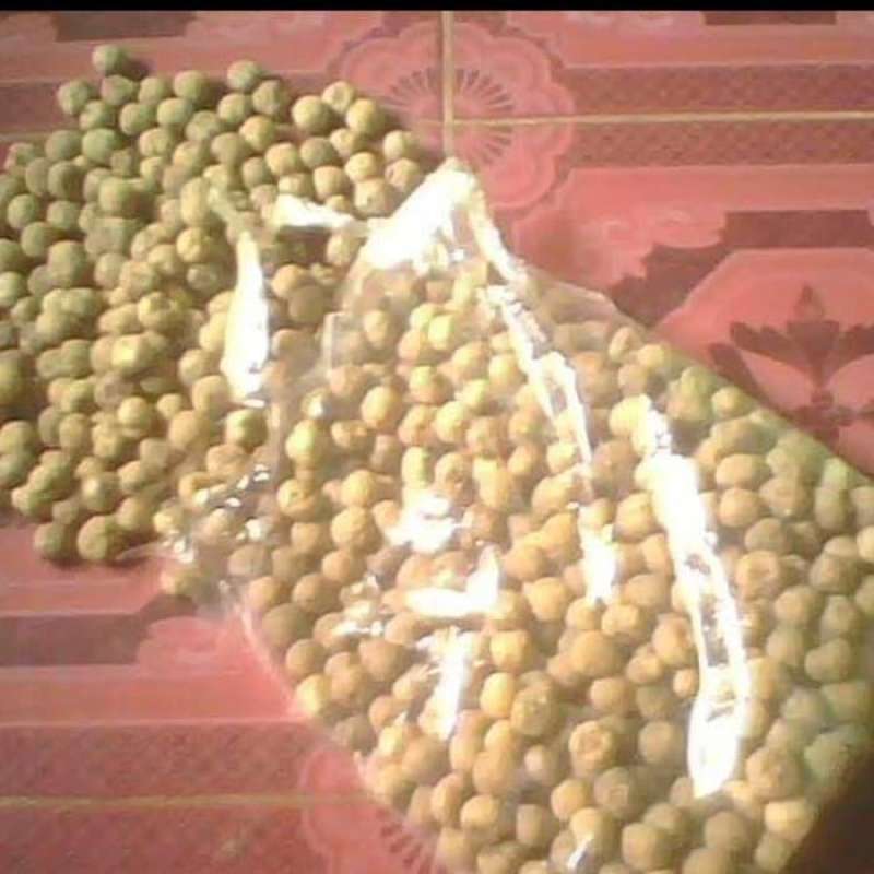 Jual Biji Jati Solomon Original Murah - Harga Diskon Mei 2024 | Blibli.com